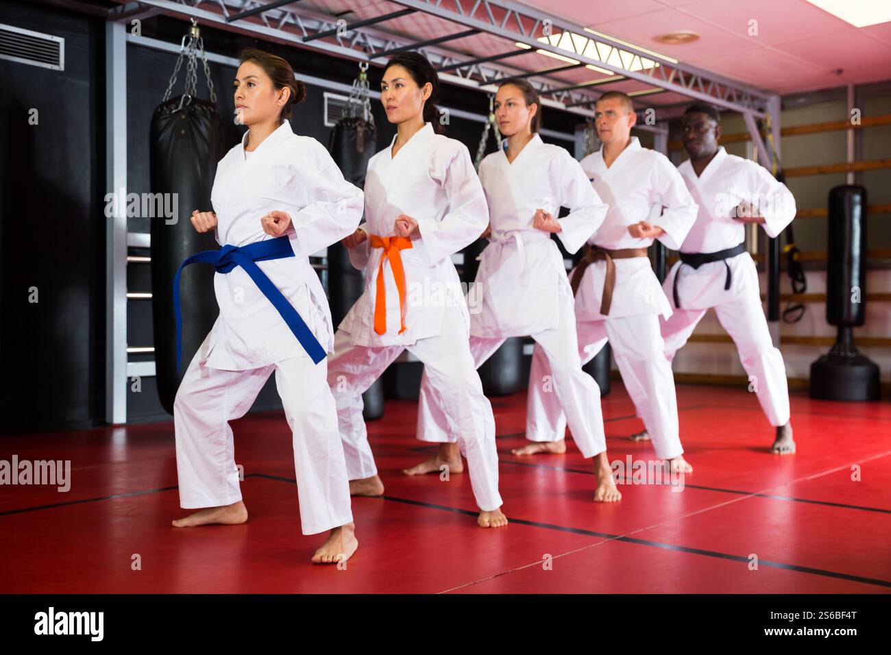 Multiracial group of people doing kata moves in gym Stock Photo - Alamy