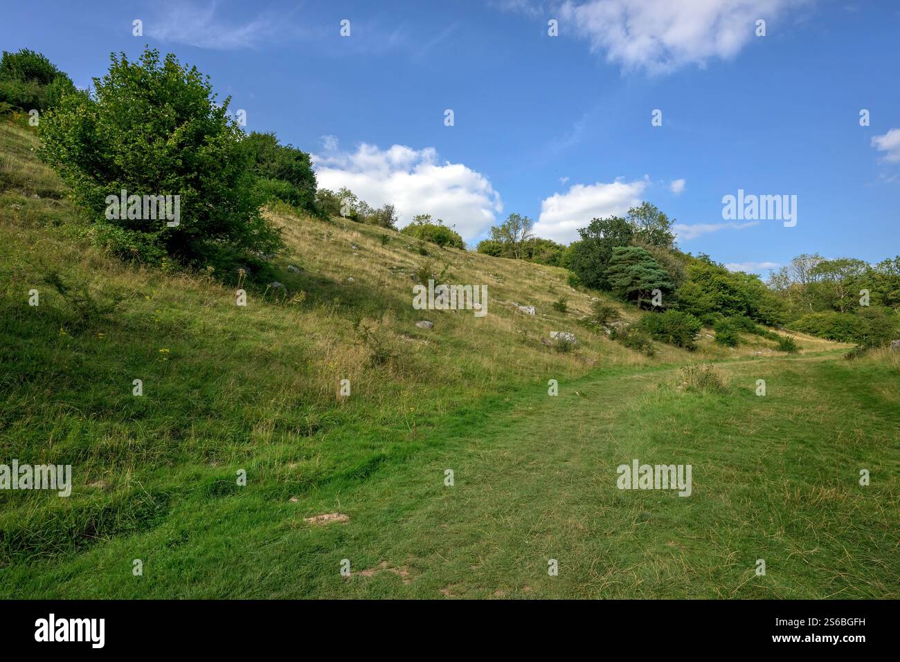 Black Rock Quarry walk at Cheddar, Somerset, UK on sunny day in summer ...