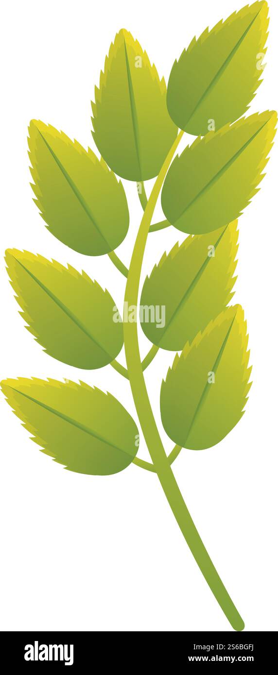 Rowan leaf icon. Cartoon of rowan leaf vector icon for web design ...