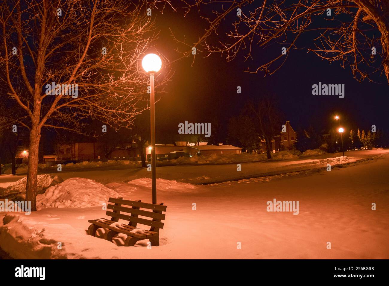 winter scene in the park with a bench under lamp post Stock Photo - Alamy