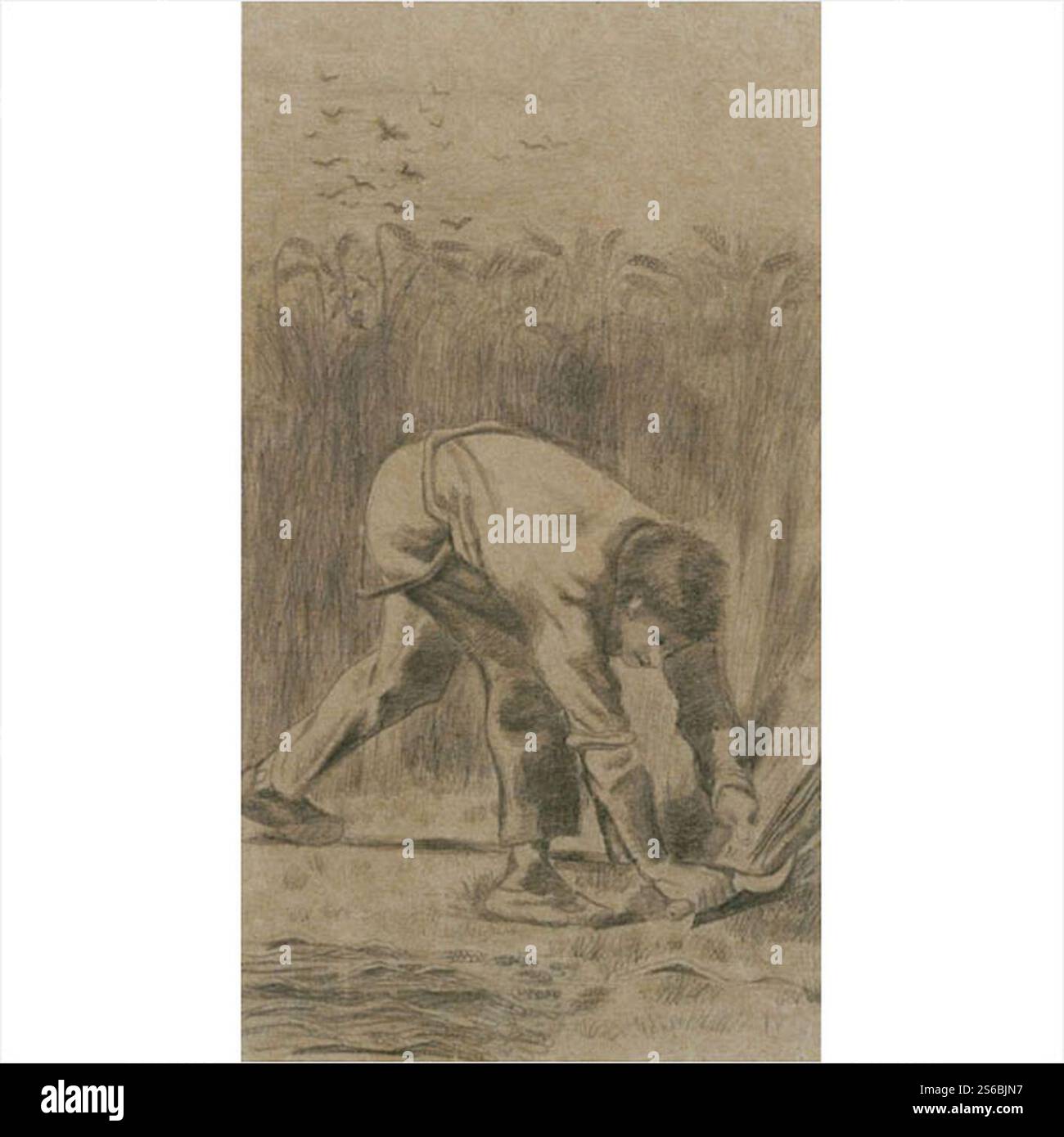 Gogh - Moissonneur à la faucille (D'après Millet), c. 1880 Stock Photo ...