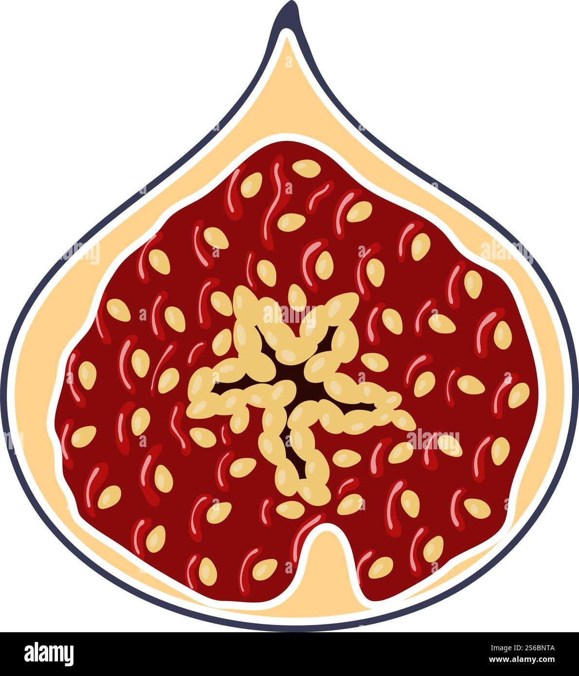 Icon Of Fig Fruit In Ui Colors. Flat Color Design. Vector Illustration ...