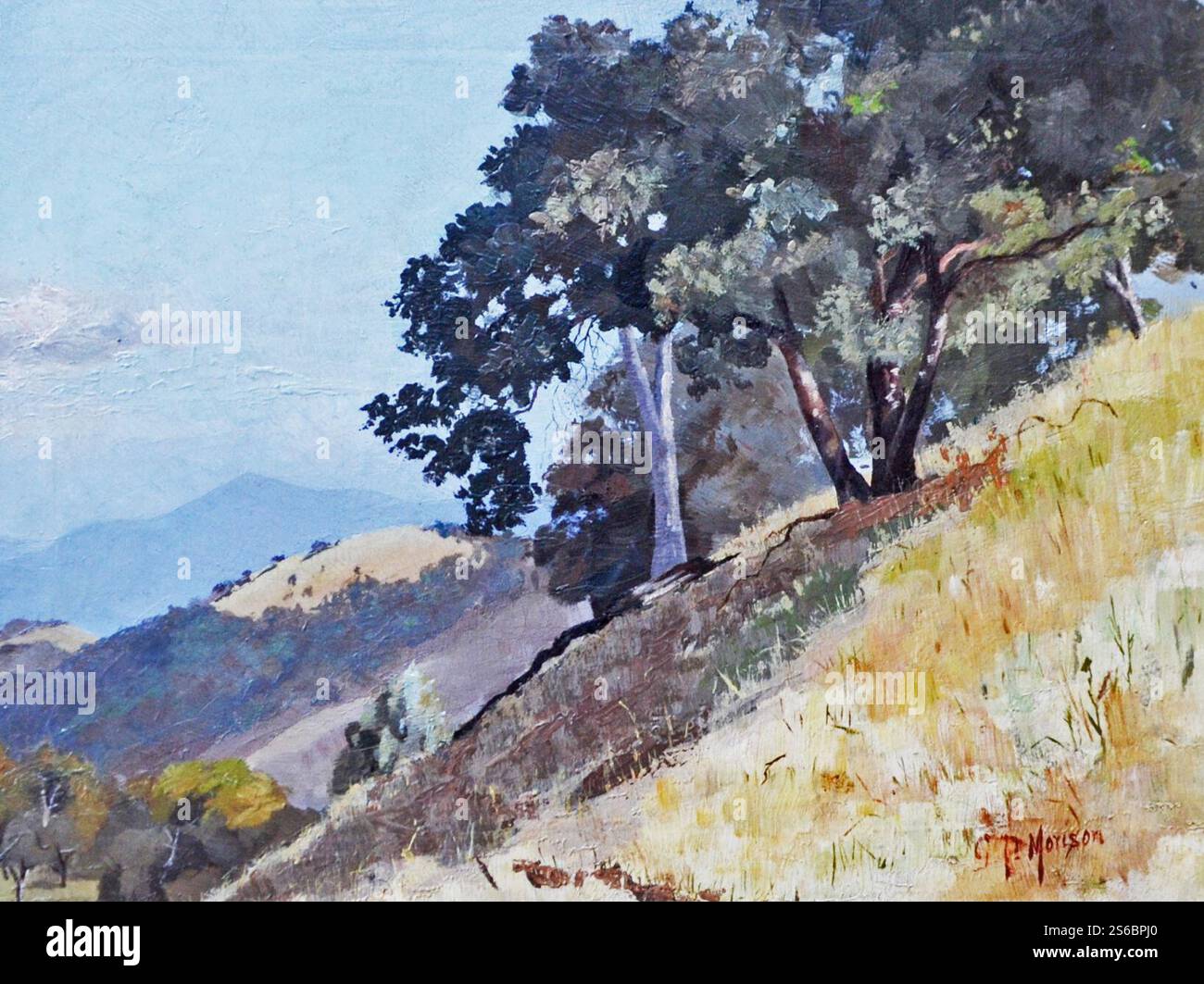 George Pitt Morison - George Pitt Morison 1861 - 1946 Hillside Oil on ...