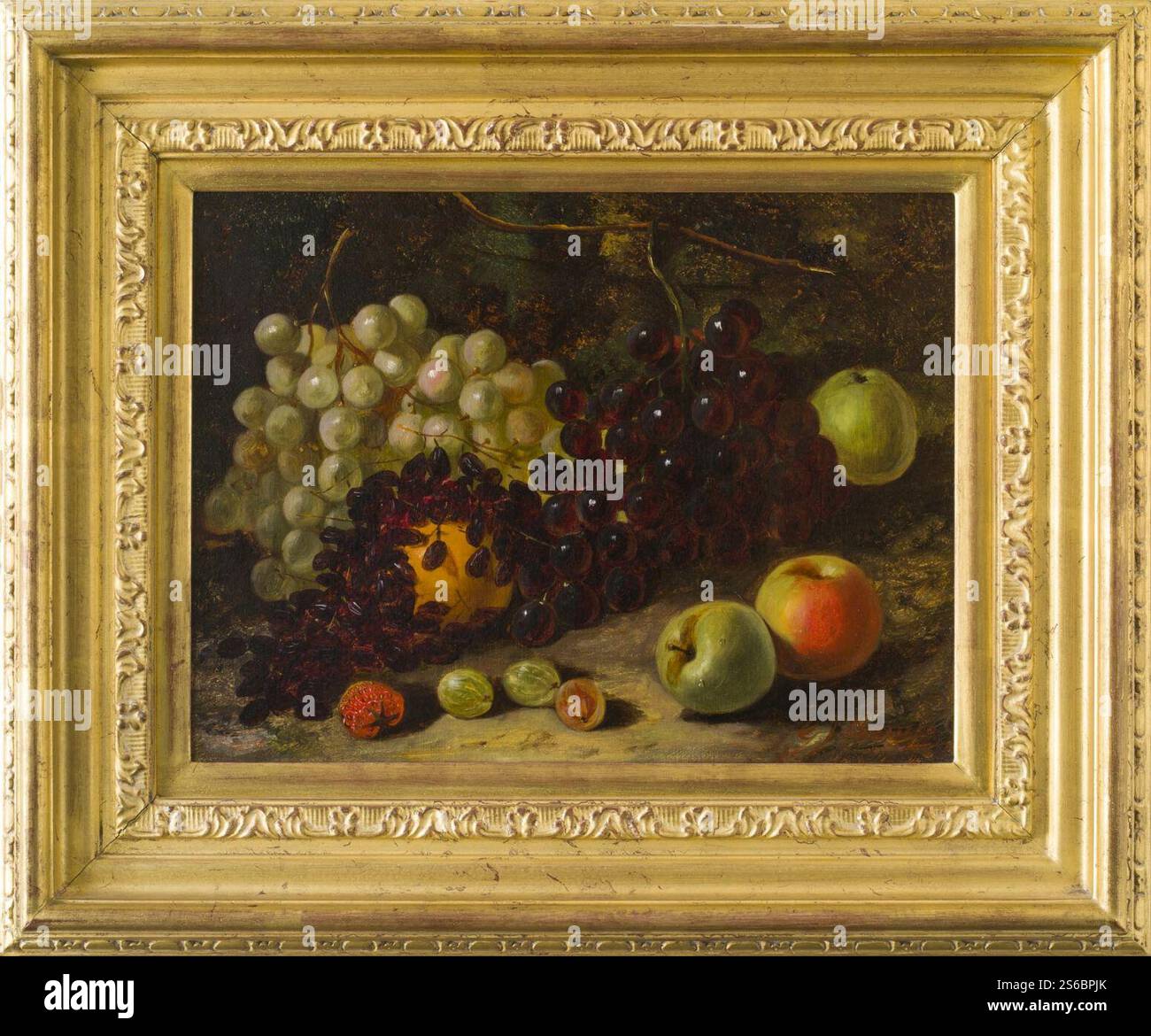 J barnes hi-res stock photography and images - Alamy