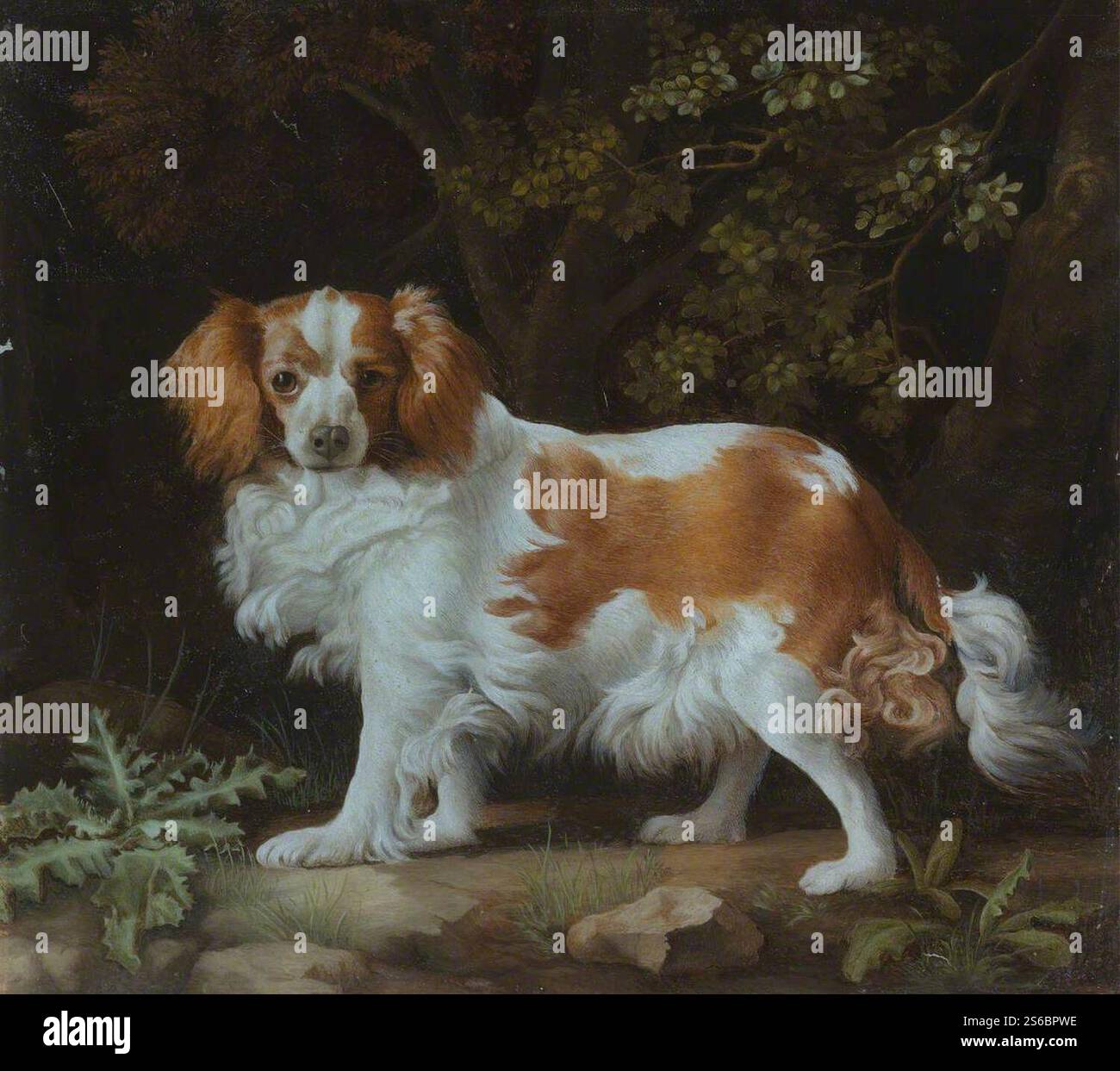George Stubbs (1724-1806) (style of) - King Charles Spaniel Stock Photo - Alamy