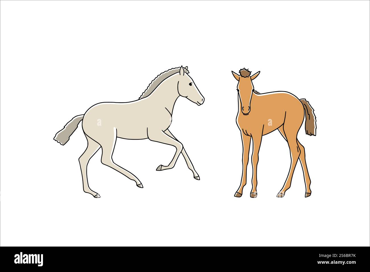 Two cute newborn foals, vector simple illustration Stock Vector Image ...