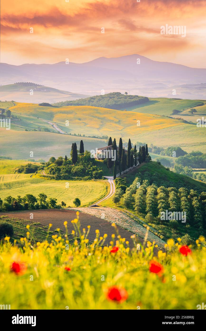 Val d'Orcia, Tuscany. Idyllic Tuscan landscape during sunrise, San ...