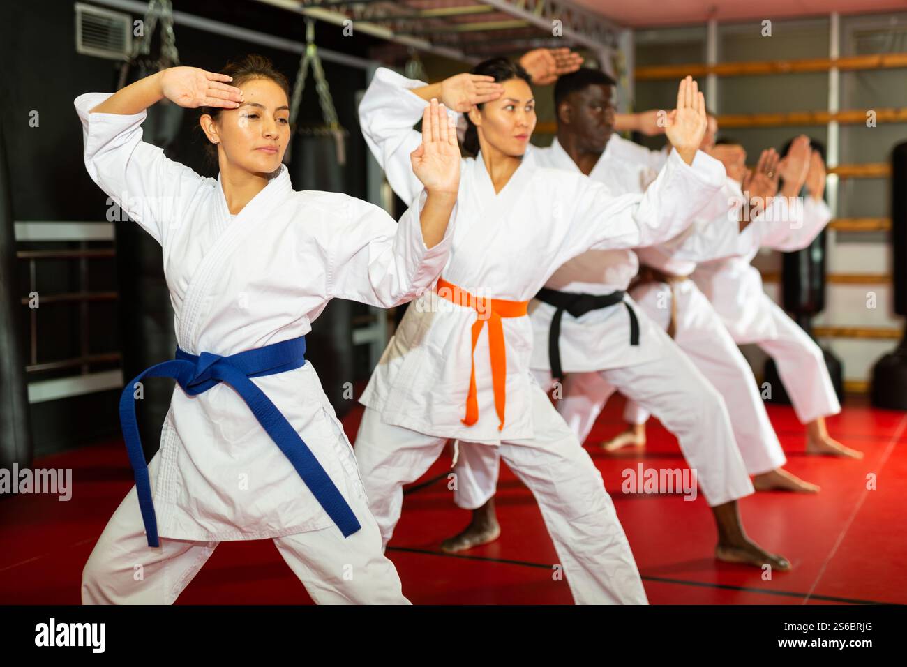 Polyethnic men and women in kimono exercising kata Stock Photo - Alamy