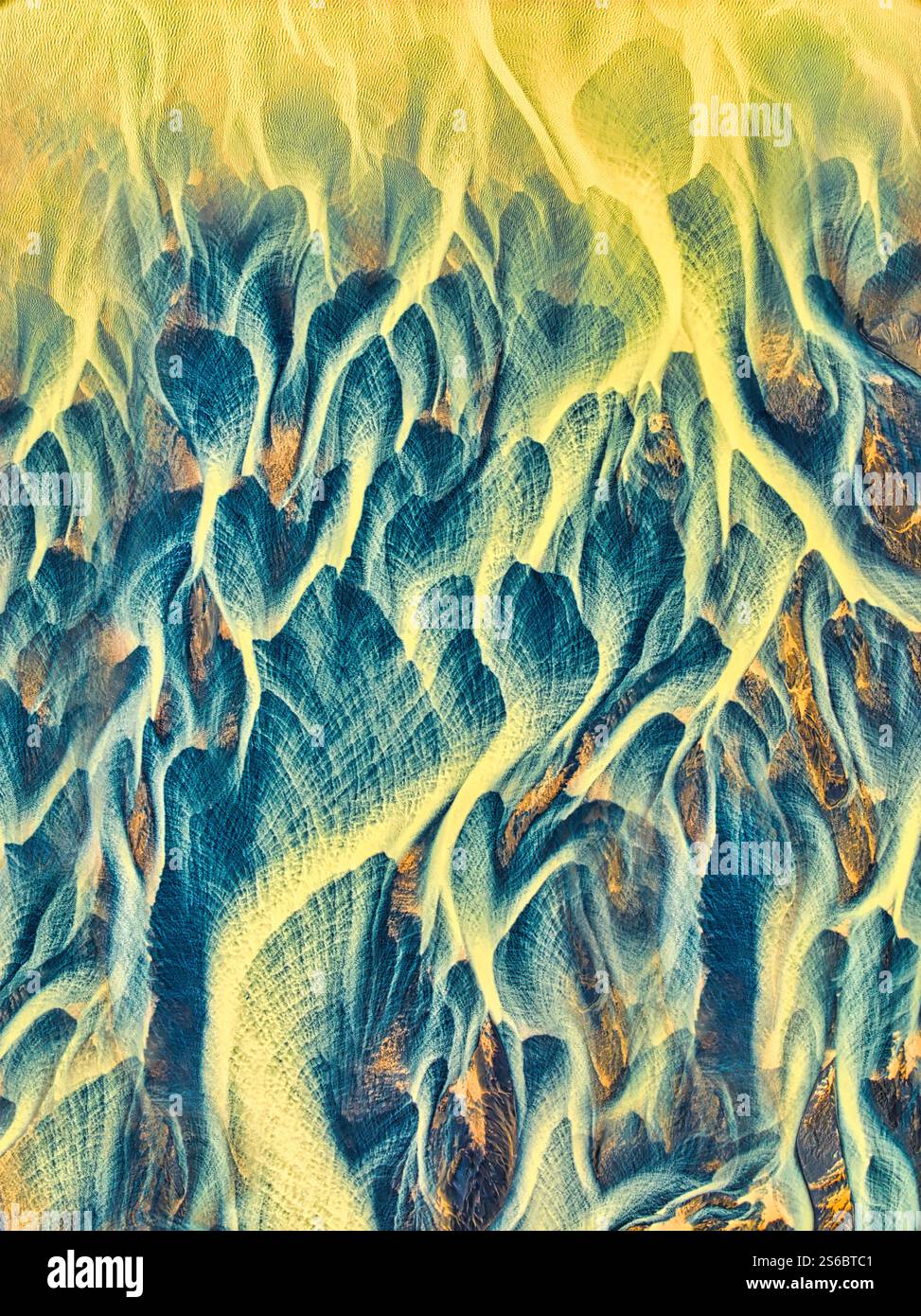 Aerial view of Icelandic braided rivers, creating intricate yellow and ...