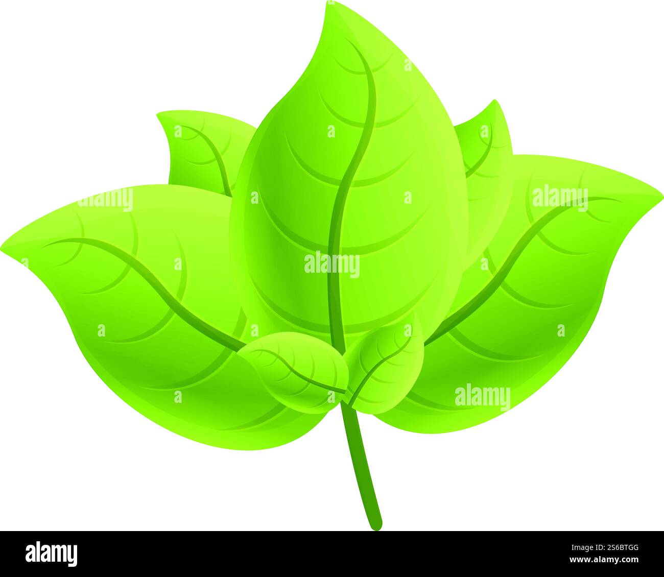 Basil cooking icon. Cartoon of basil cooking vector icon for web design ...