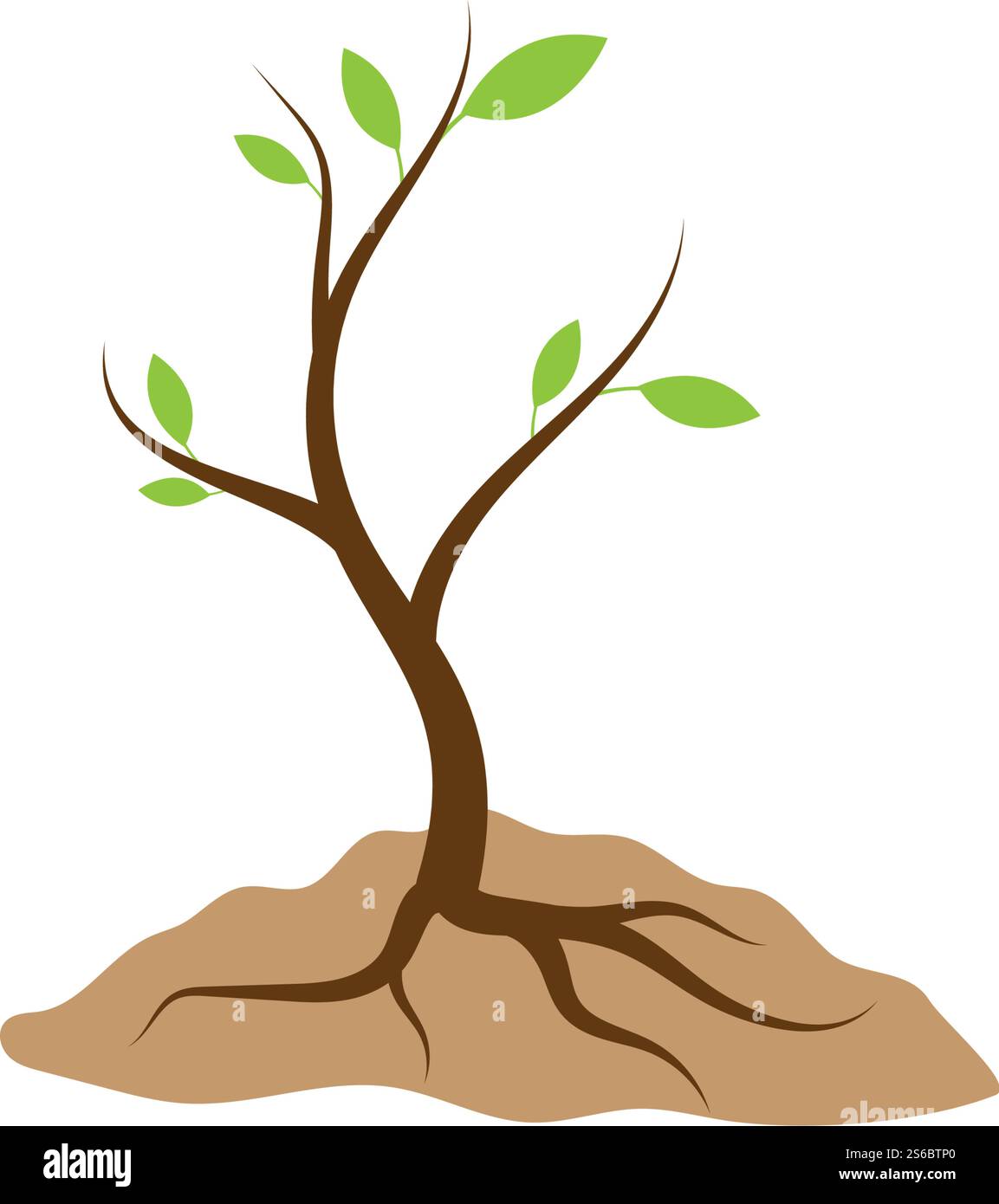 Plant life process illustrtation vector flat design Stock Vector Image ...