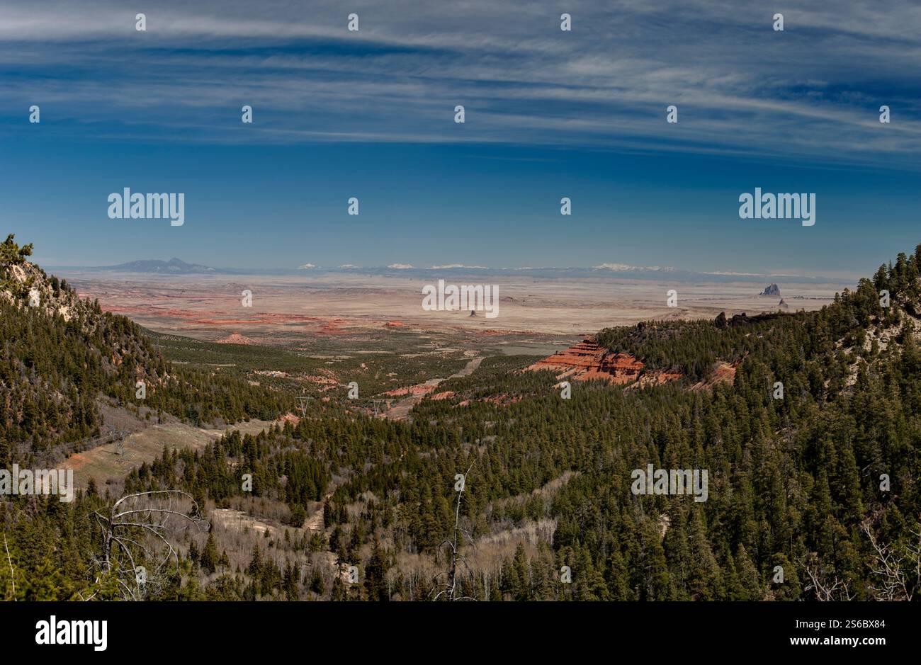 The view more or less north from Buffalo Pass in Arizona's Lukachukai ...