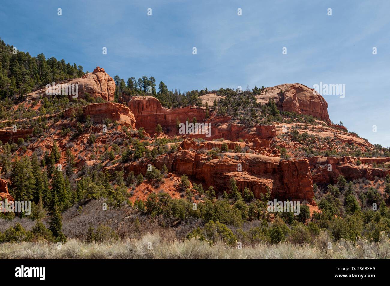 Lukachukai mountains hi-res stock photography and images - Alamy
