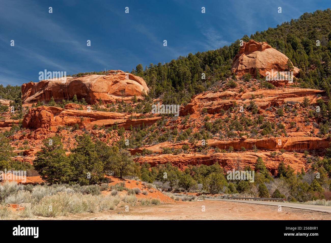 Red Rocks from the Chinle and Wingate formations in the Lukachukai ...