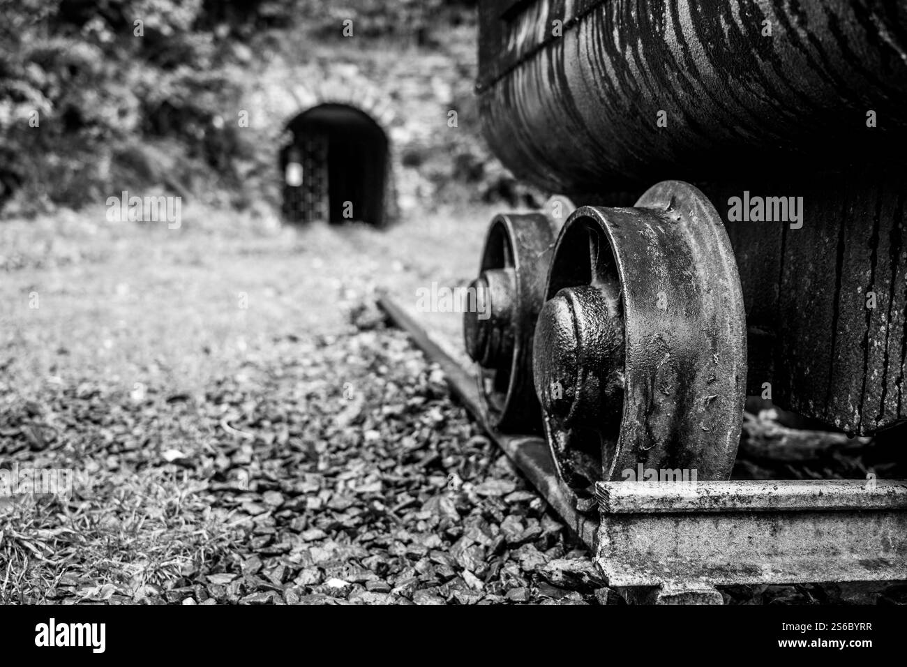 Greenery visible background Black and White Stock Photos & Images - Alamy
