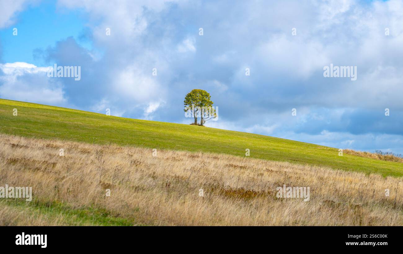 Rolling hills stretch across the Ore Mountains, showcasing lush ...
