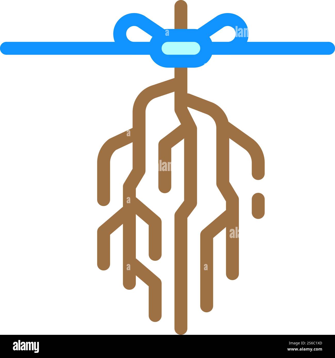 medicinal plant root color icon vector. medicinal plant root sign ...