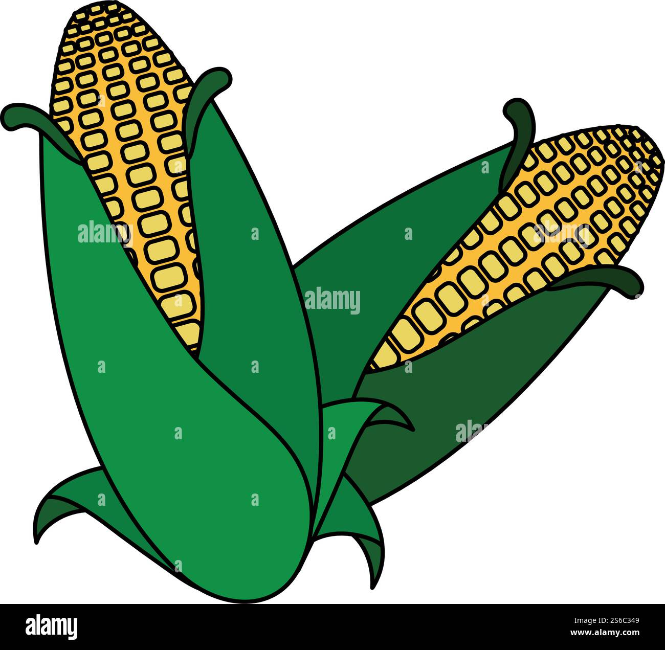 Corn Icon. Outline With Color Fill Design. Vector Illustration Stock ...
