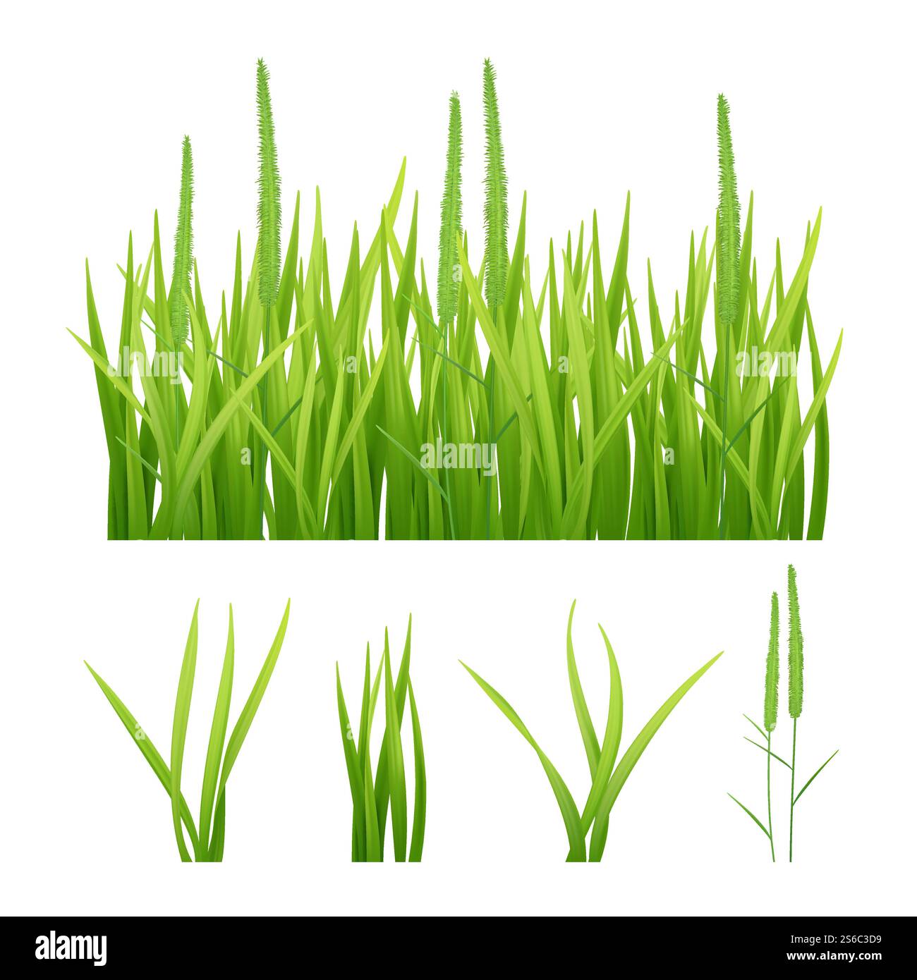 Grass realistic. Green nature vector pictures of grass and leaves ...