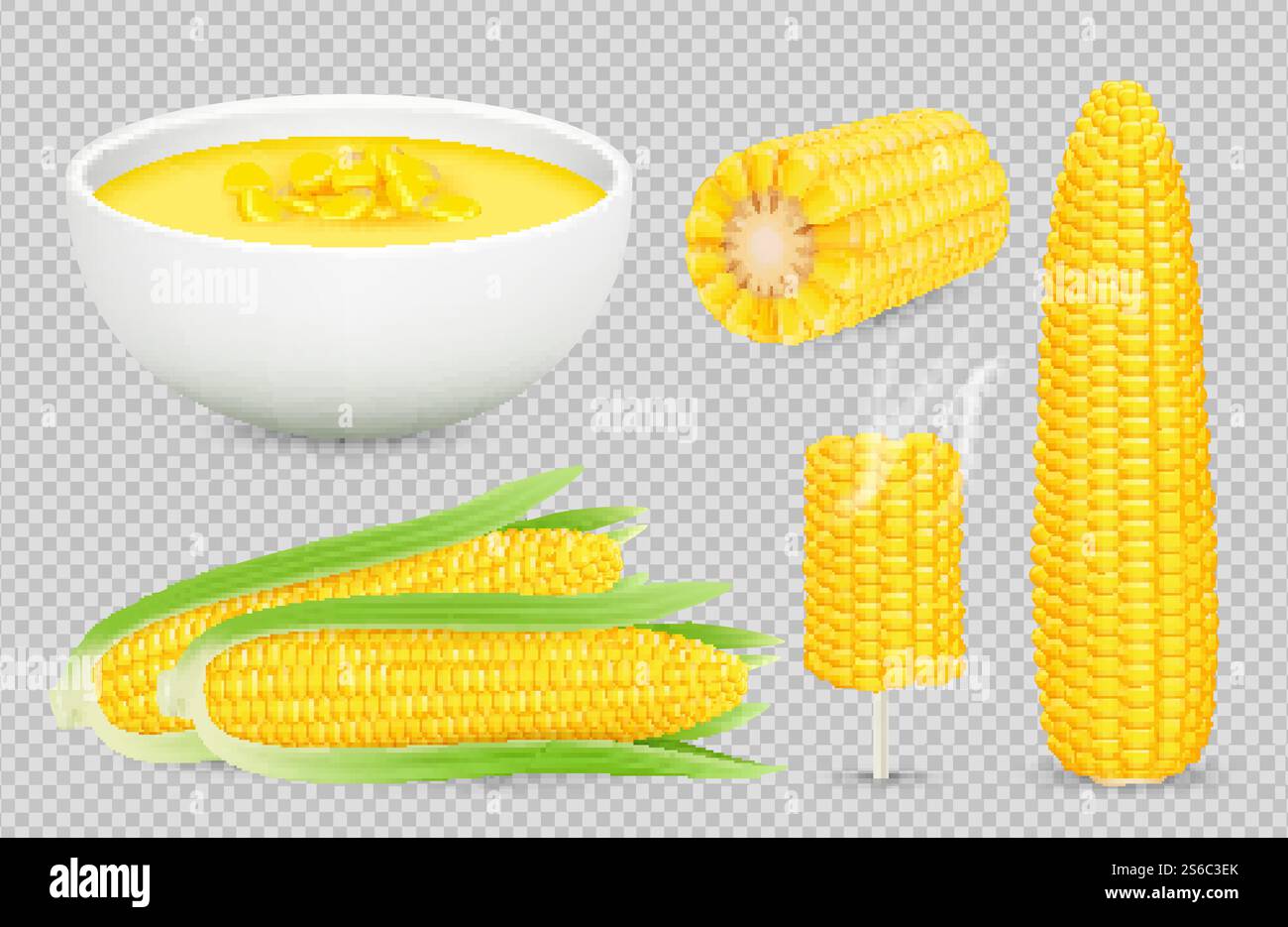Vector corn collection. Realistic corn cobs isolated on transparent background. Fresh harvest ...