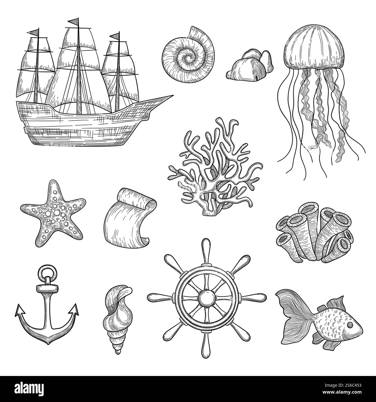 Nautical elements. Ocean fish shells boats ships knot travel marine ...