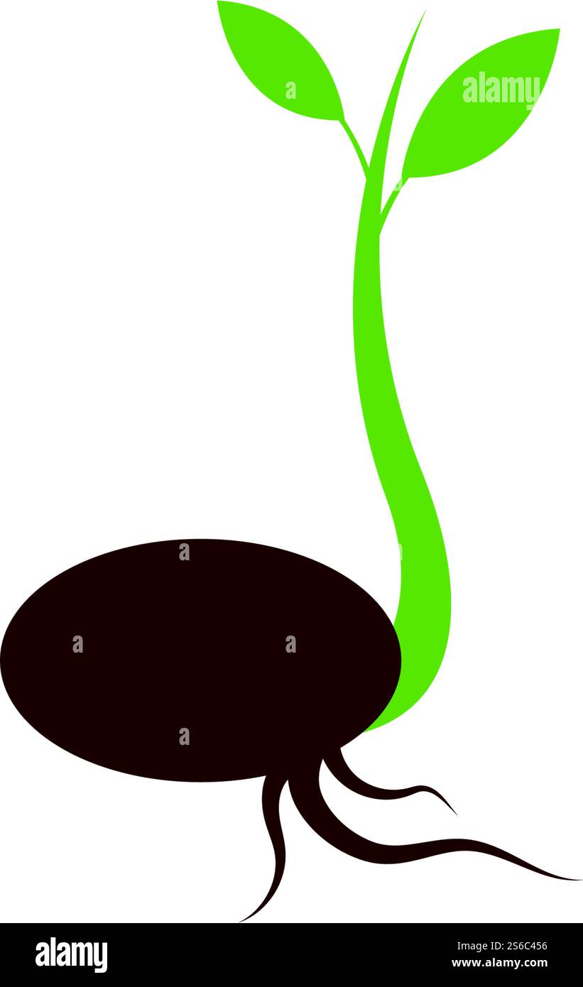 Plant life process illustrtation vector flat design Stock Vector Image ...