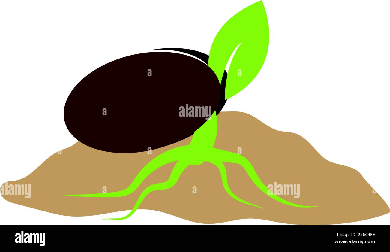 Plant life process illustrtation vector flat design Stock Vector Image ...