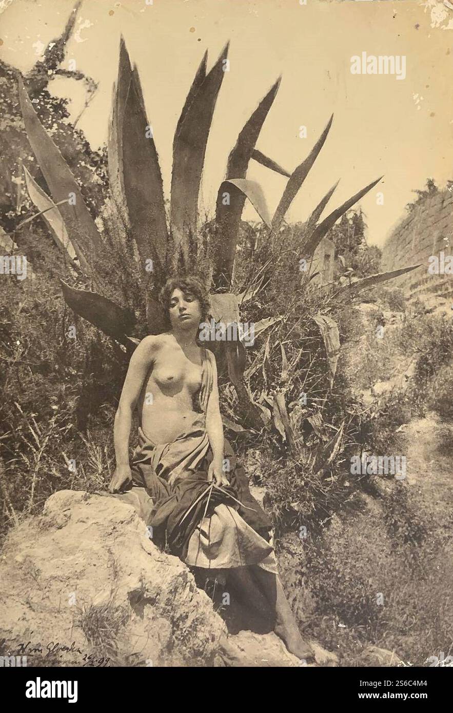 Gloeden, Wilhelm von (1856-1931) - n. G 0210 recto - Hagar - Aste La ...