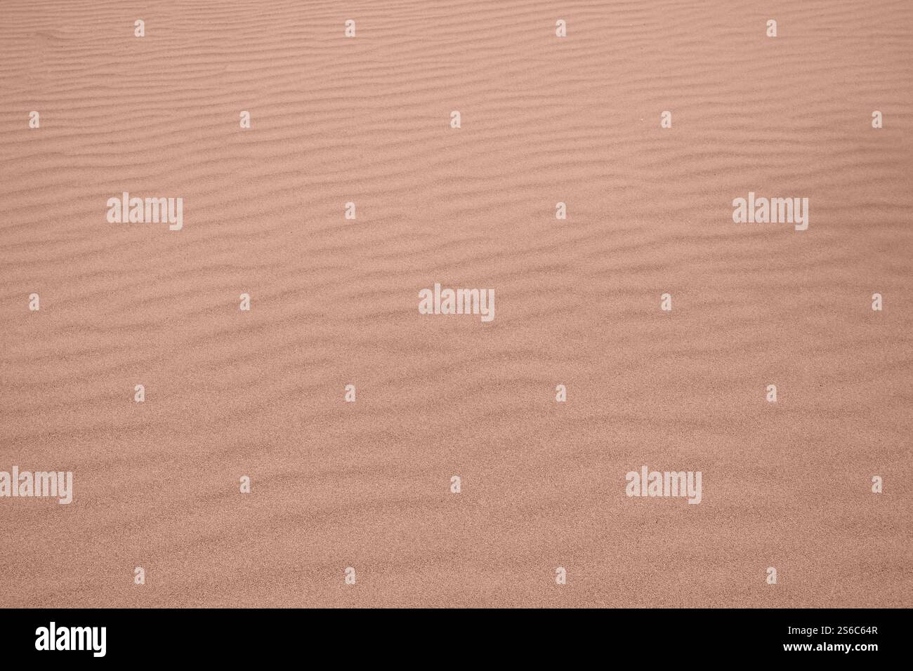 Background made of Wavy desert sand texture. Fine beach sand. Color Of ...