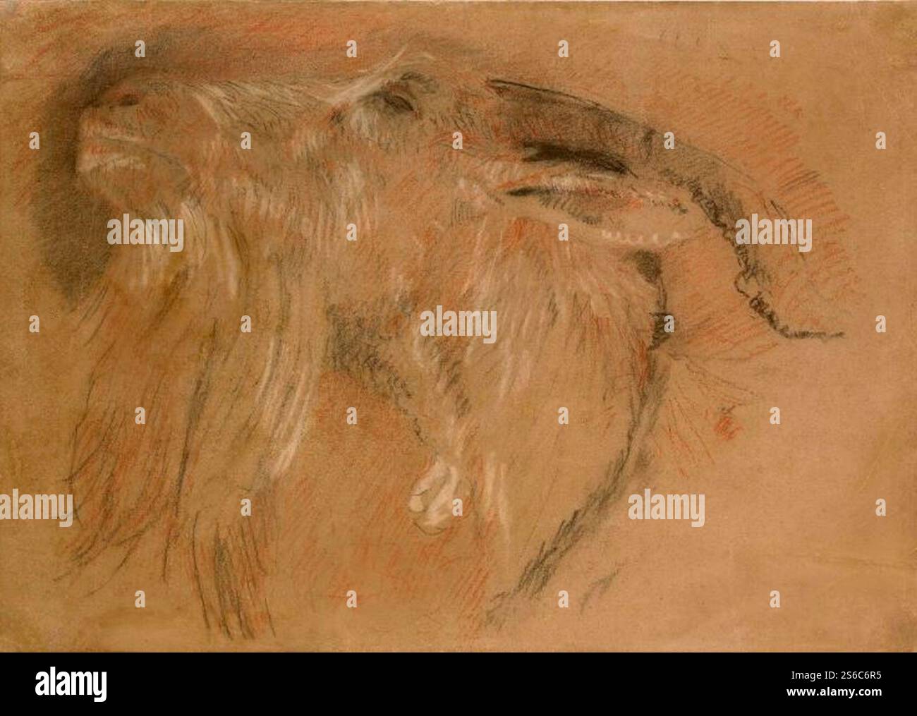 Macho cabrio hi-res stock photography and images - Alamy