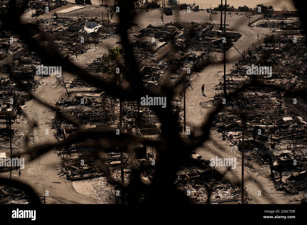 With a burned tree in the foreground, a firefighter walks along a road in a fire-ravaged ...