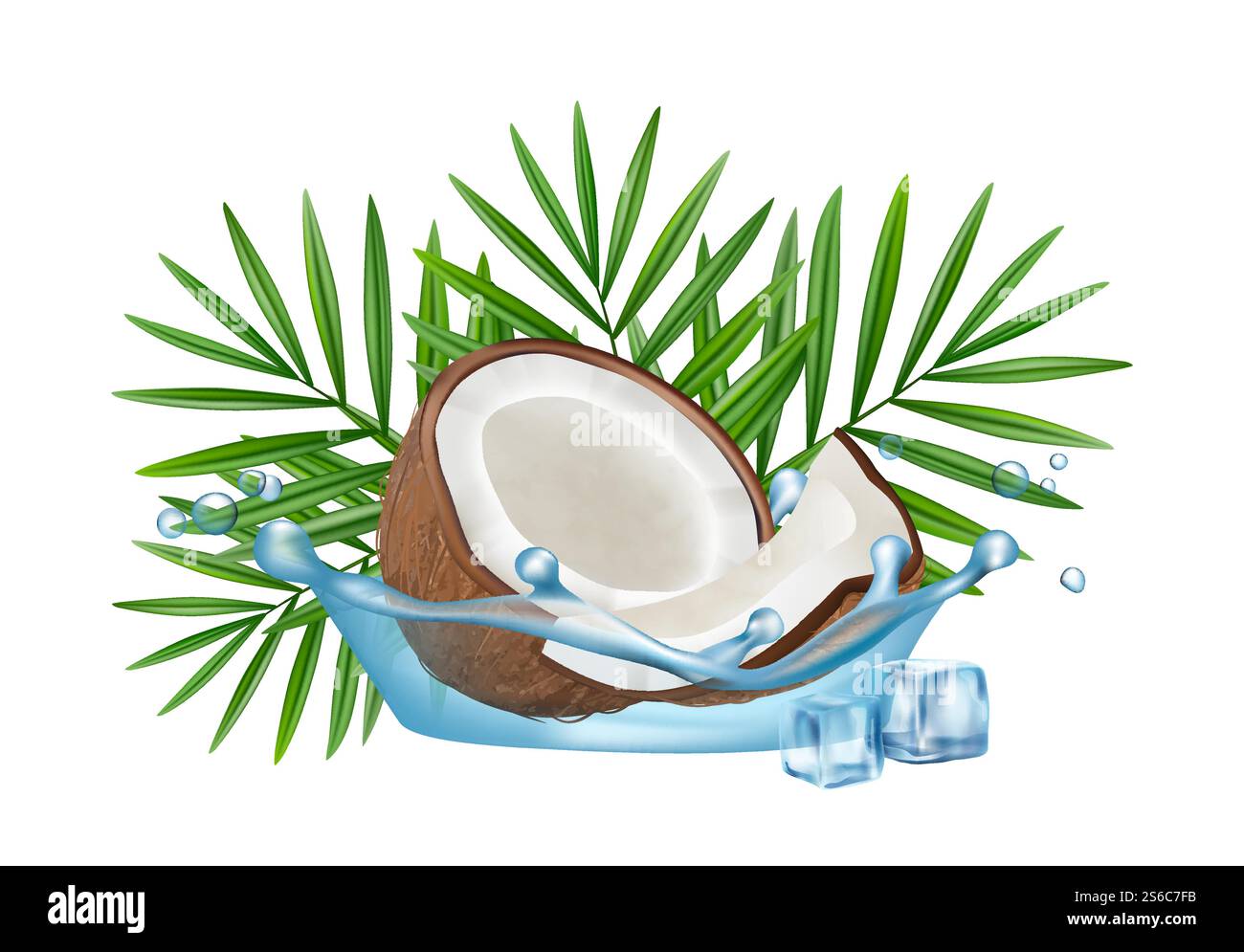 Realistic coconut in water splash, vector palm leaves and ice cubes ...