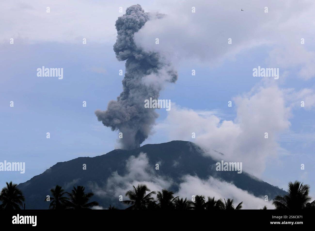 (250116) -- NORTH MALUKU (INDONESIA), Jan. 16, 2025 (Xinhua) -- Photo ...