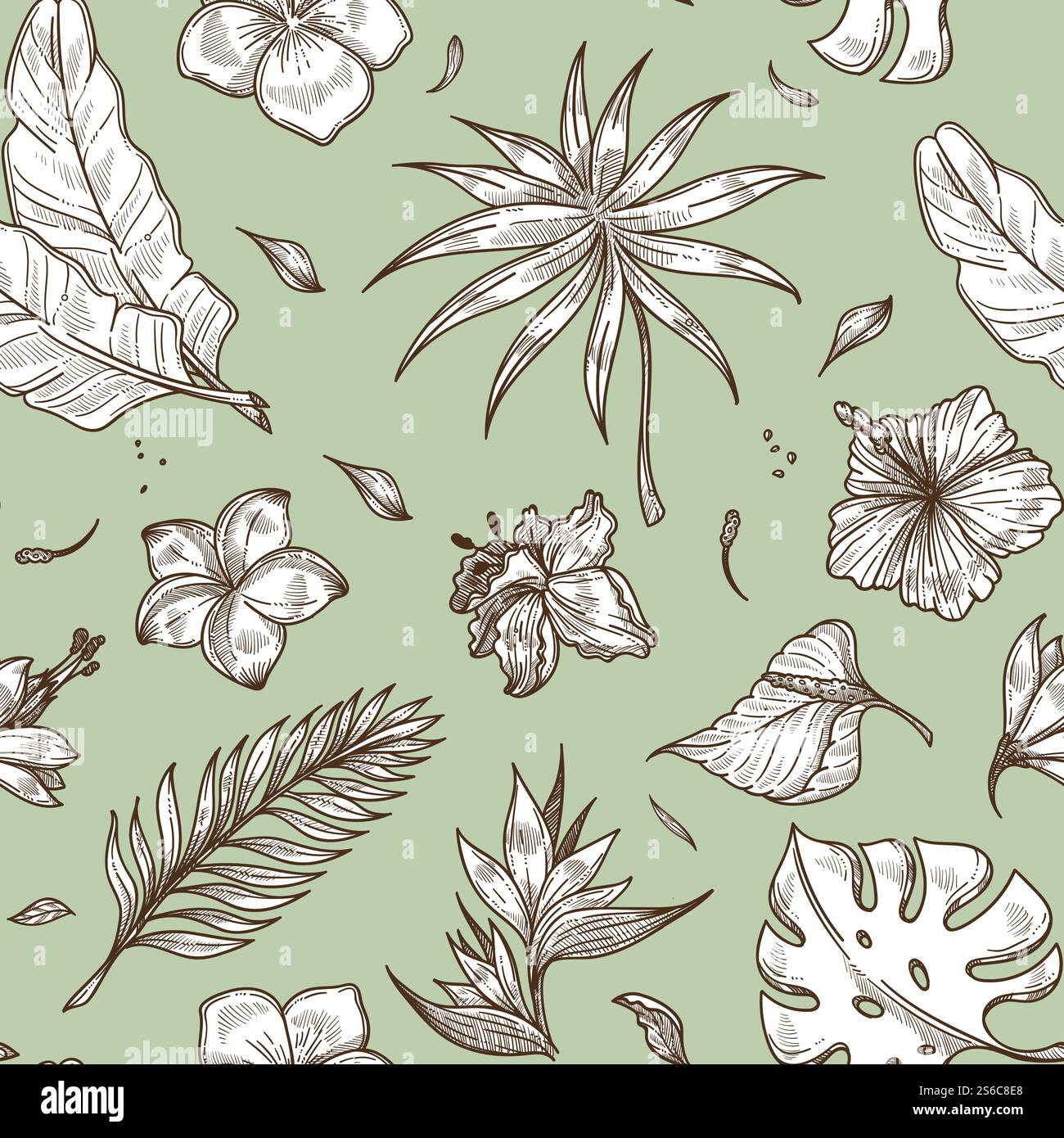 Monstera and palm leaves floral decoration monochrome sketch outline ...