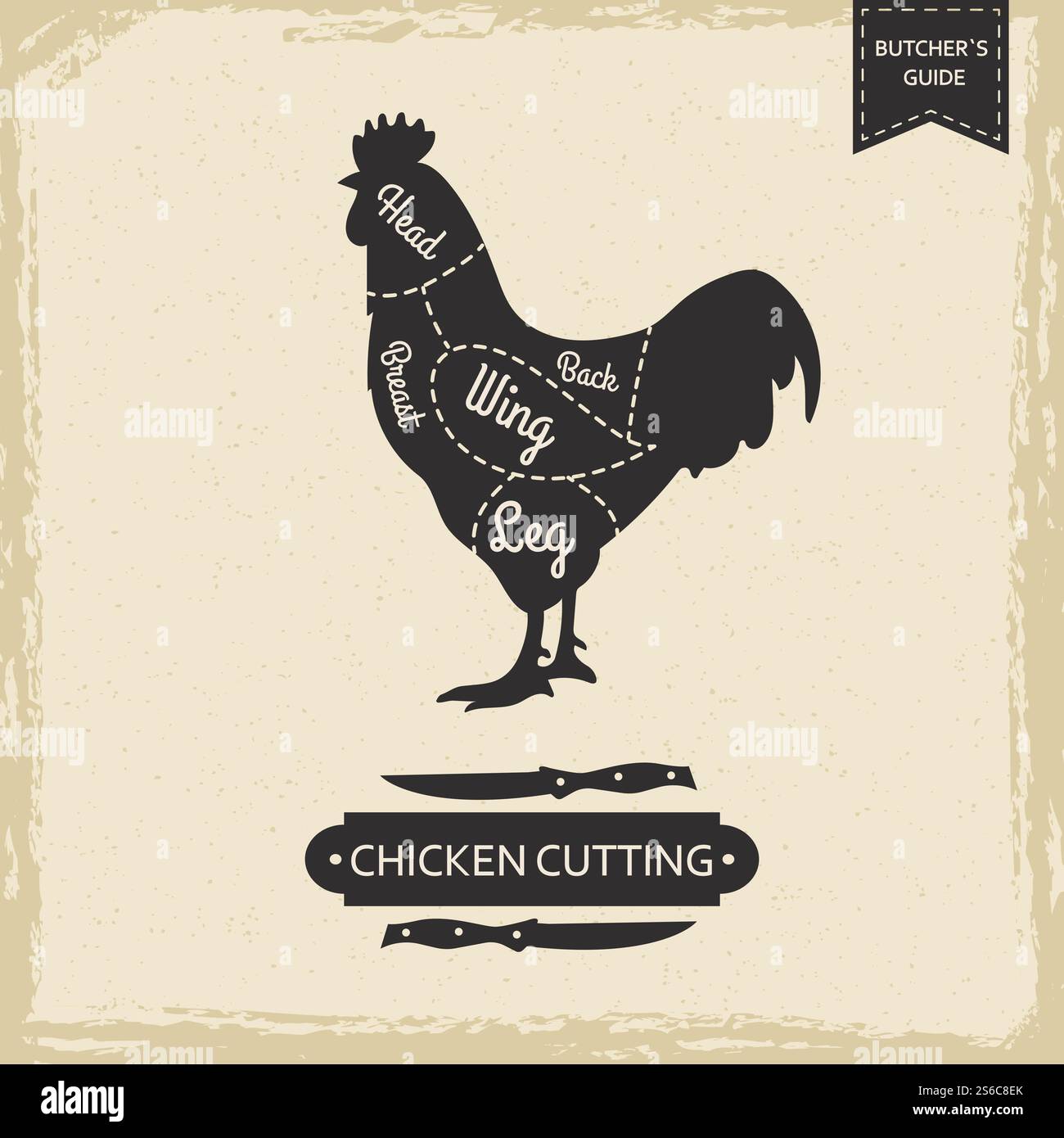 Butchers library vintage page - chicken cutting vector poster design ...