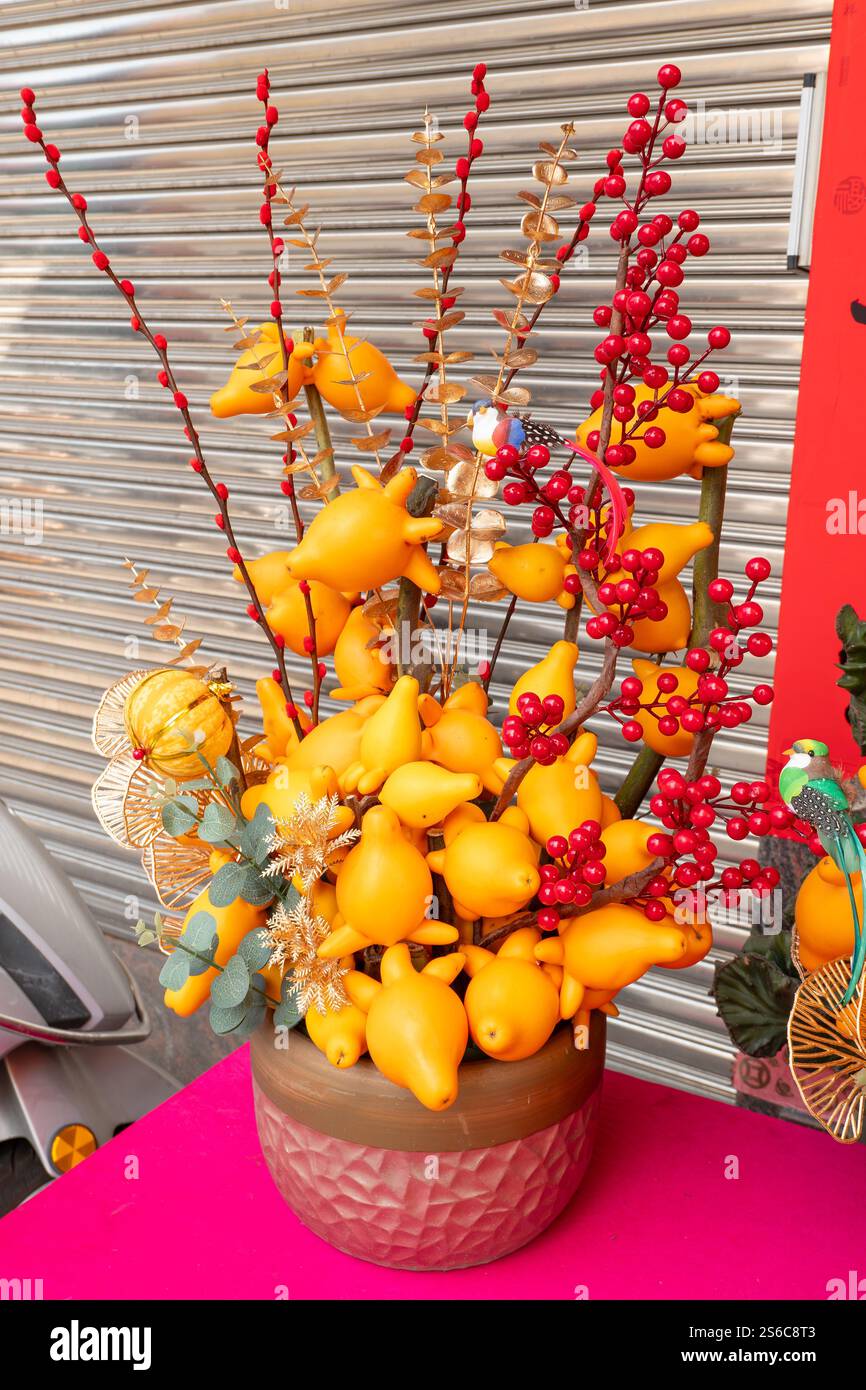 pot plant named Five Generations Together Fruit for Chinese new year ...