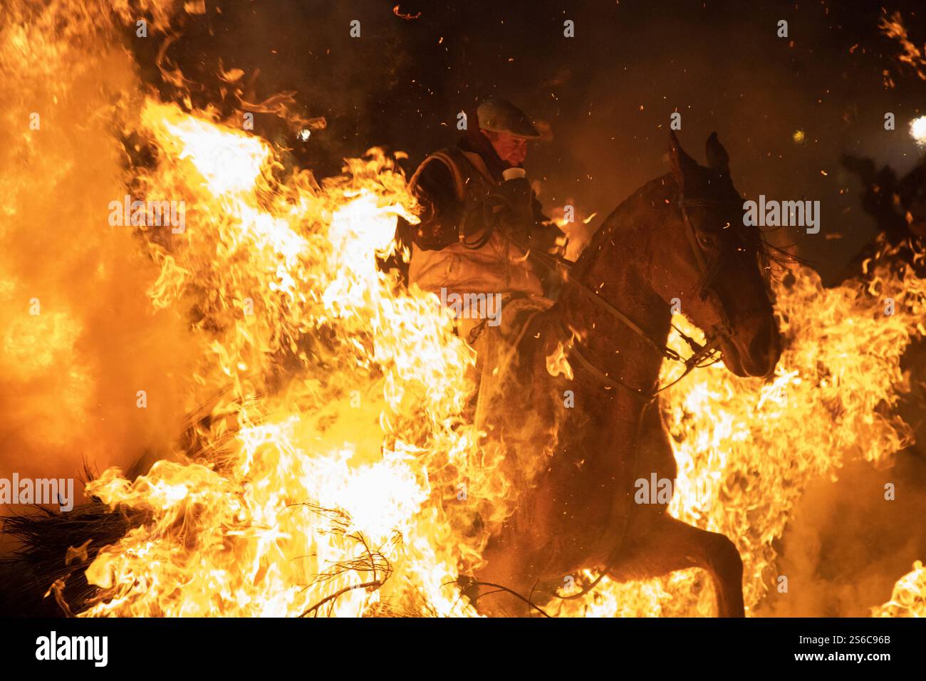 A horse jumps over a bonfire during the celebration of the Luminarias ...