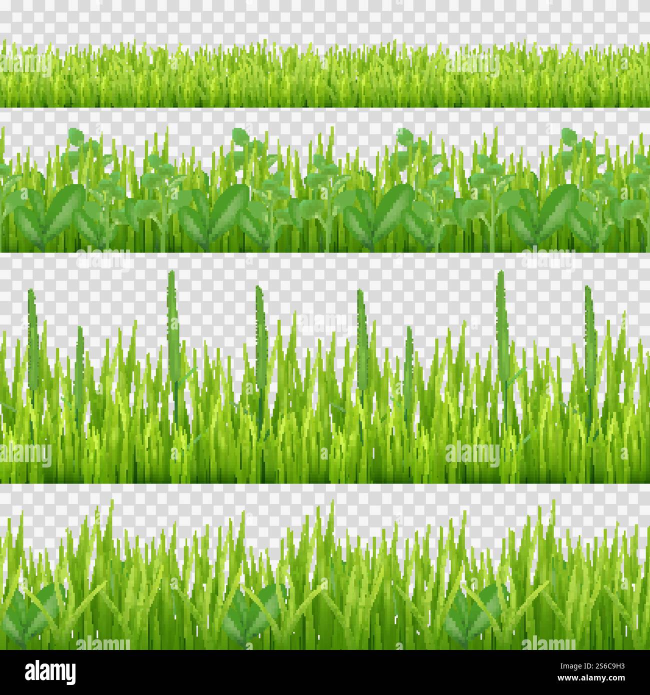 Grass herbs pattern. Nature symbols leaves and herbs horizontal vector ...