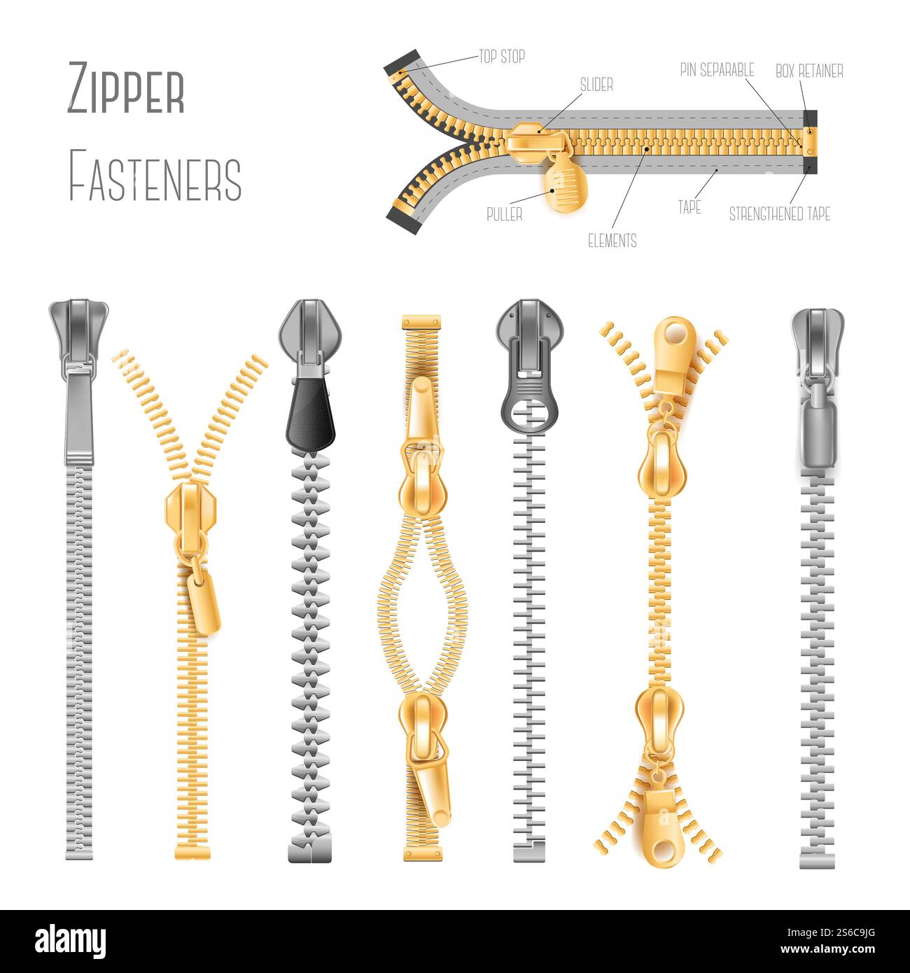 Zippers isolated vector objects garment components hi-res stock photography and images - Alamy