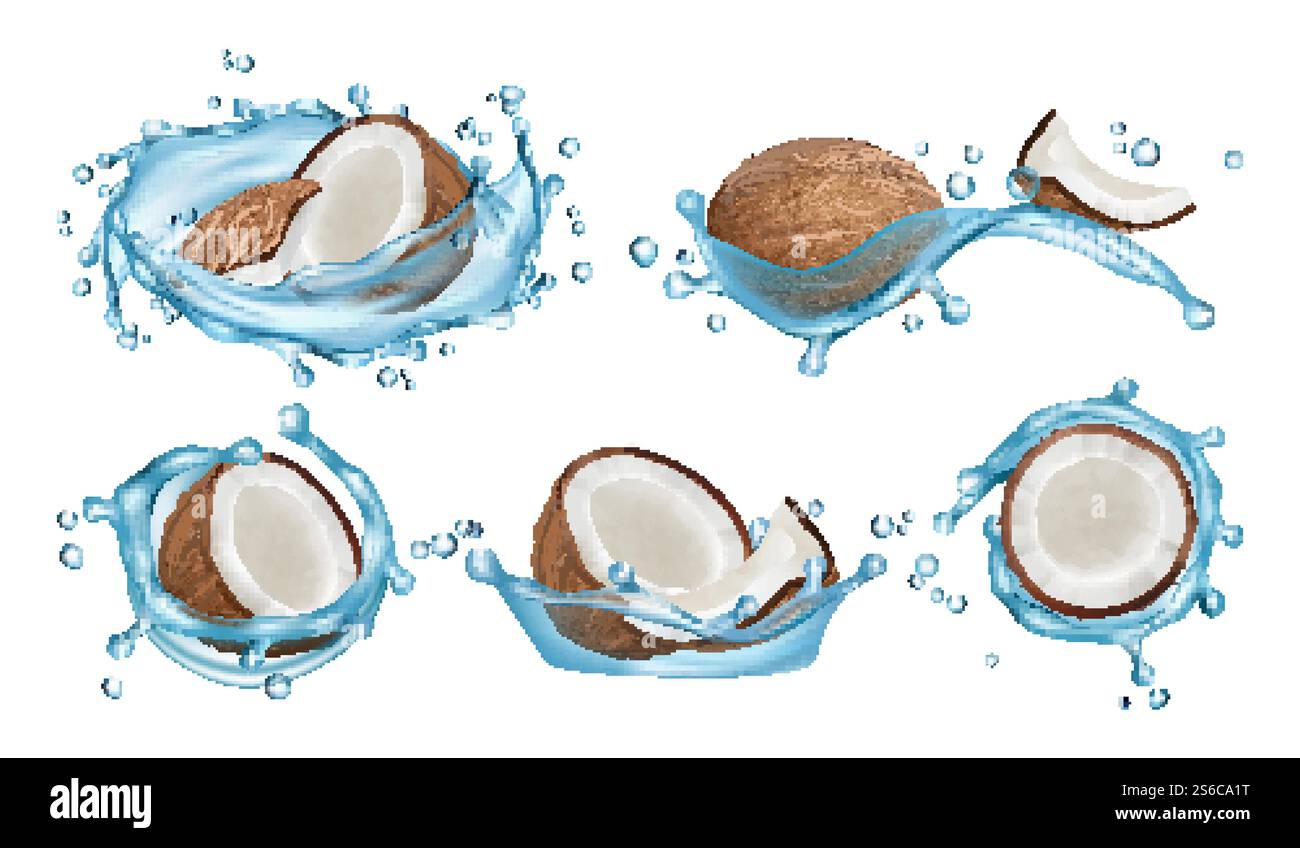 Coconut water set. Vector realistic coconuts and water splashes ...