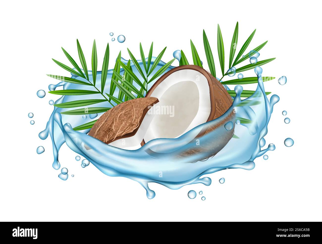 Coconut water vector concept realistic coconut Stock Vector Images - Alamy