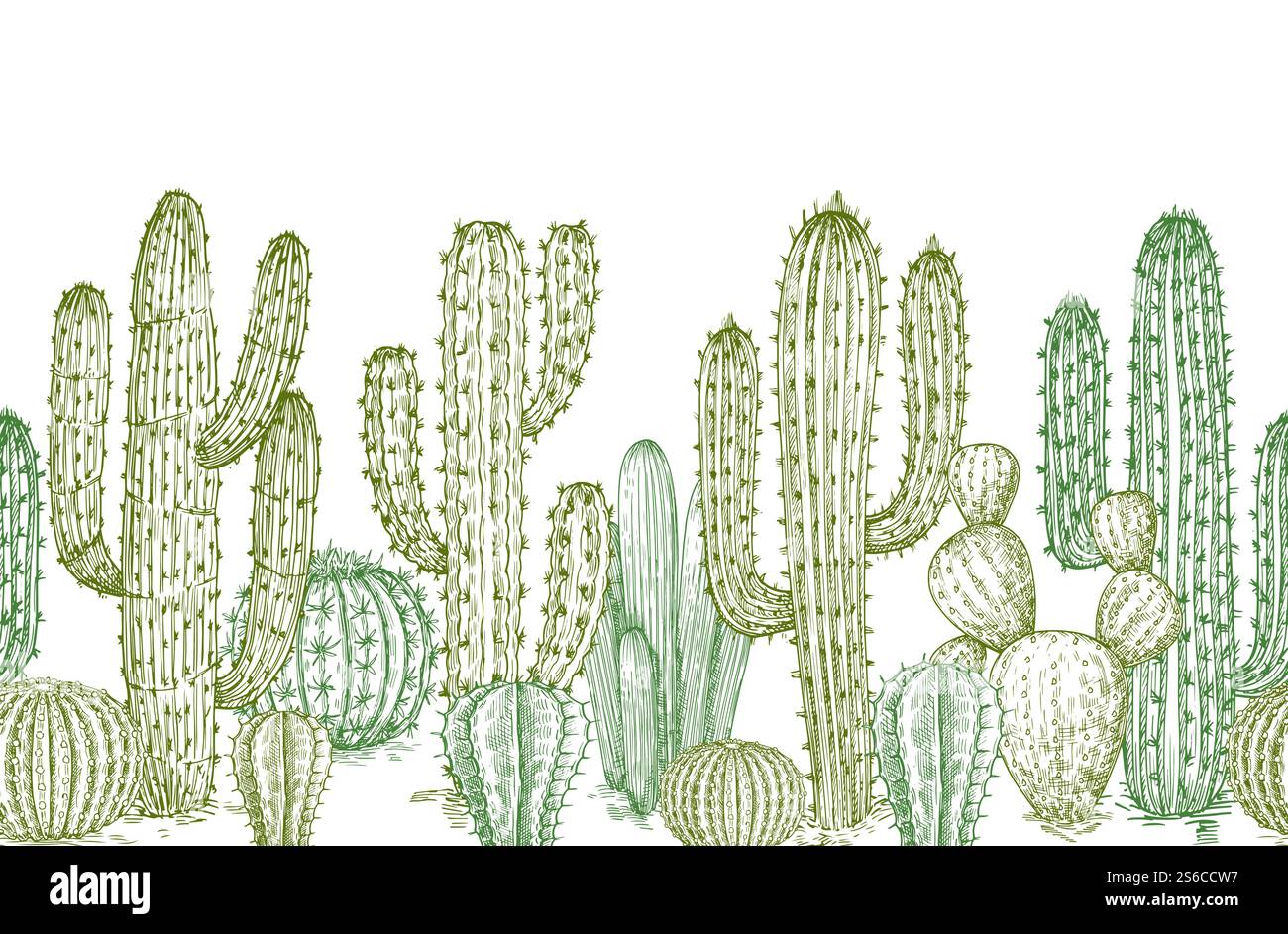 Cactus seamless pattern. Sketch desert cactuses plants endless border ...