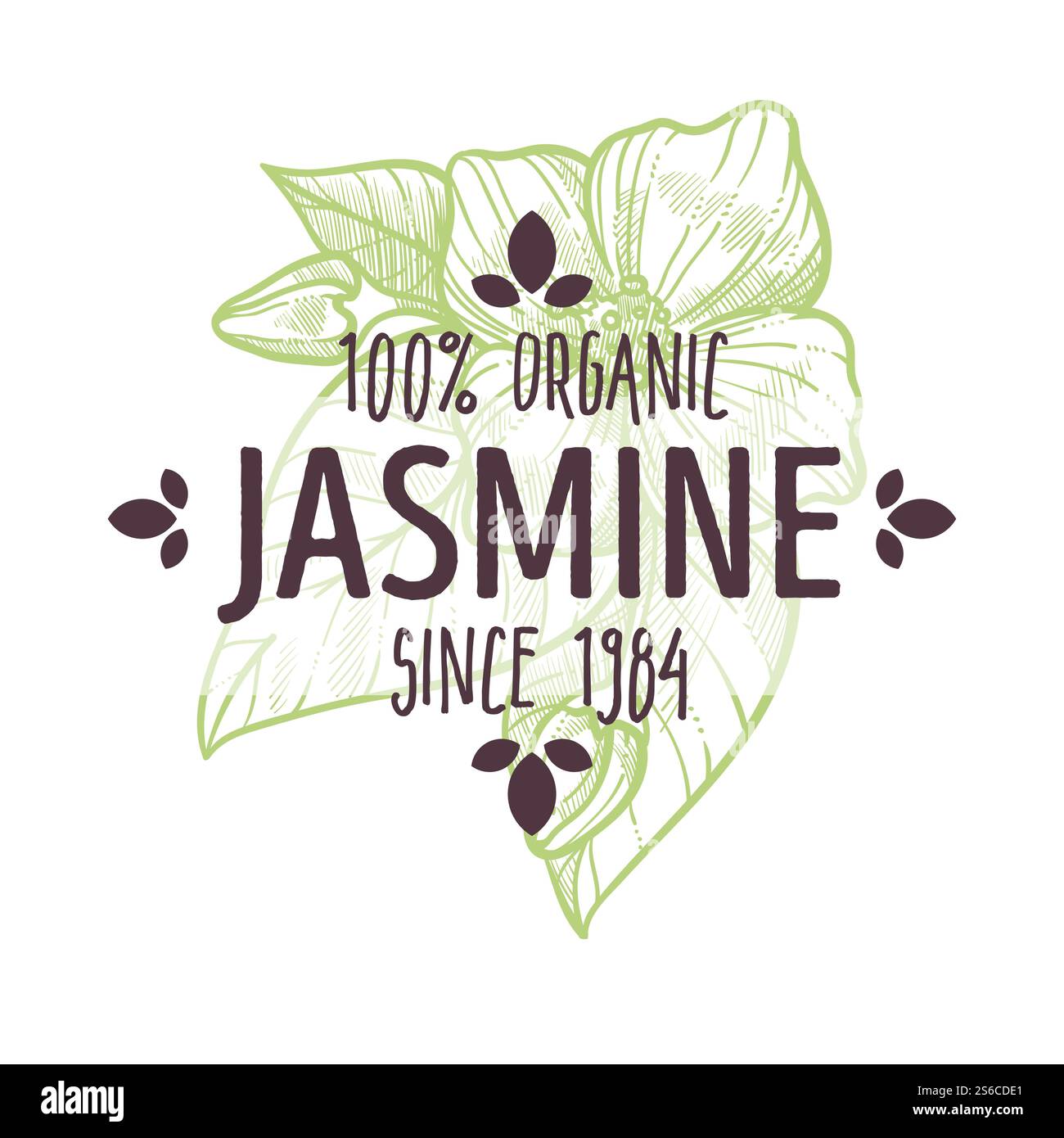 Fragrant jasmine flowers perfume Stock Vector Images - Alamy