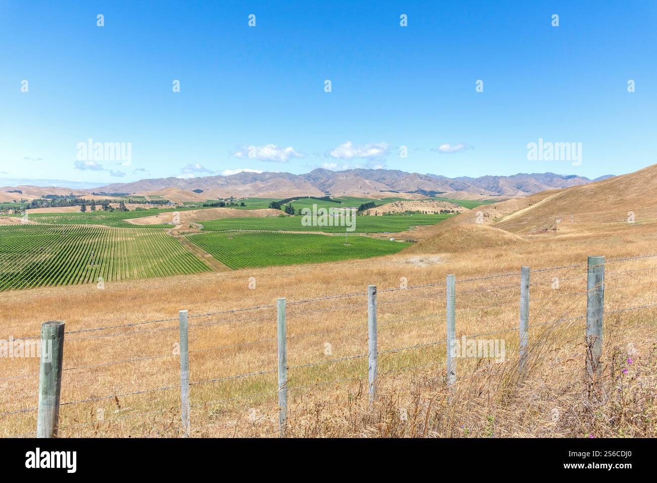 Hills landscape rows vines seddon marlborough region winery wair hi-res ...