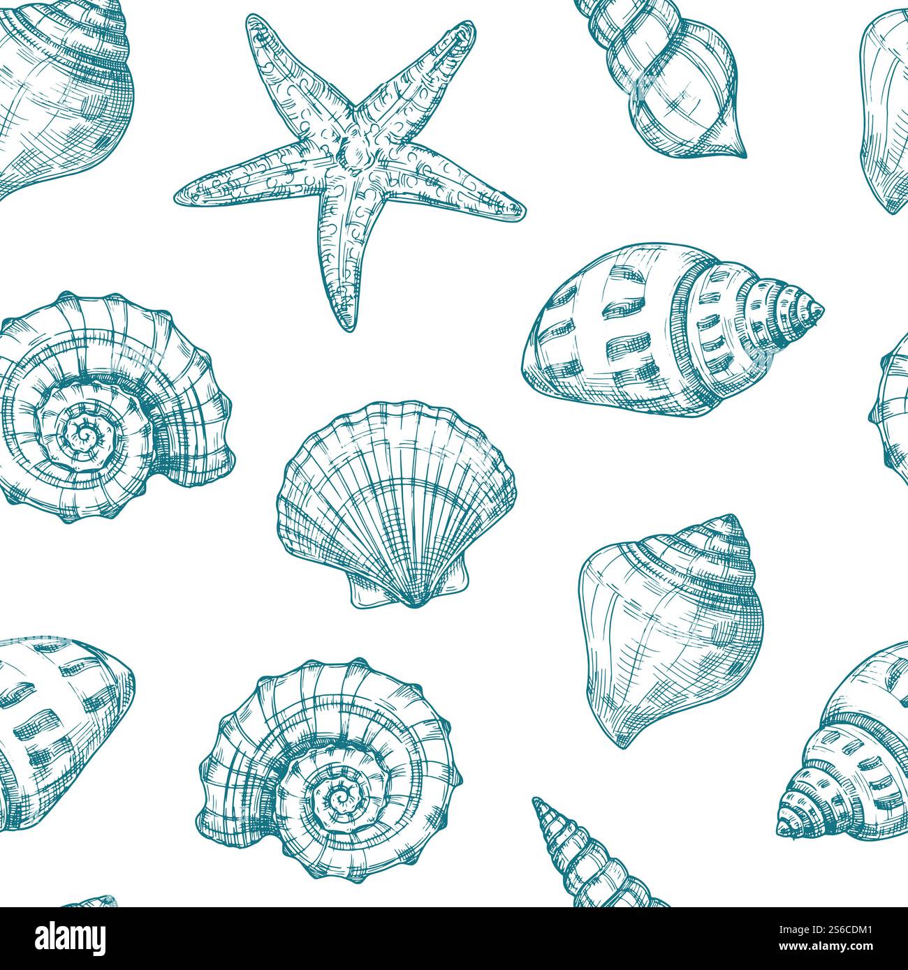 Seashells seamless pattern. Sea shell summer ocean texture. Nautical ...