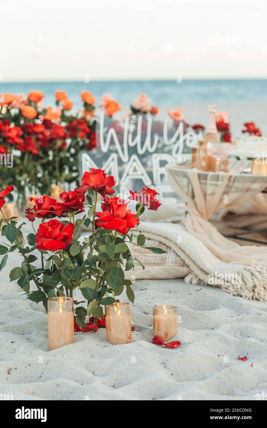 Beach Proposal Decor with Will You Marry Me Sign, Flowers and Cozy Area ...