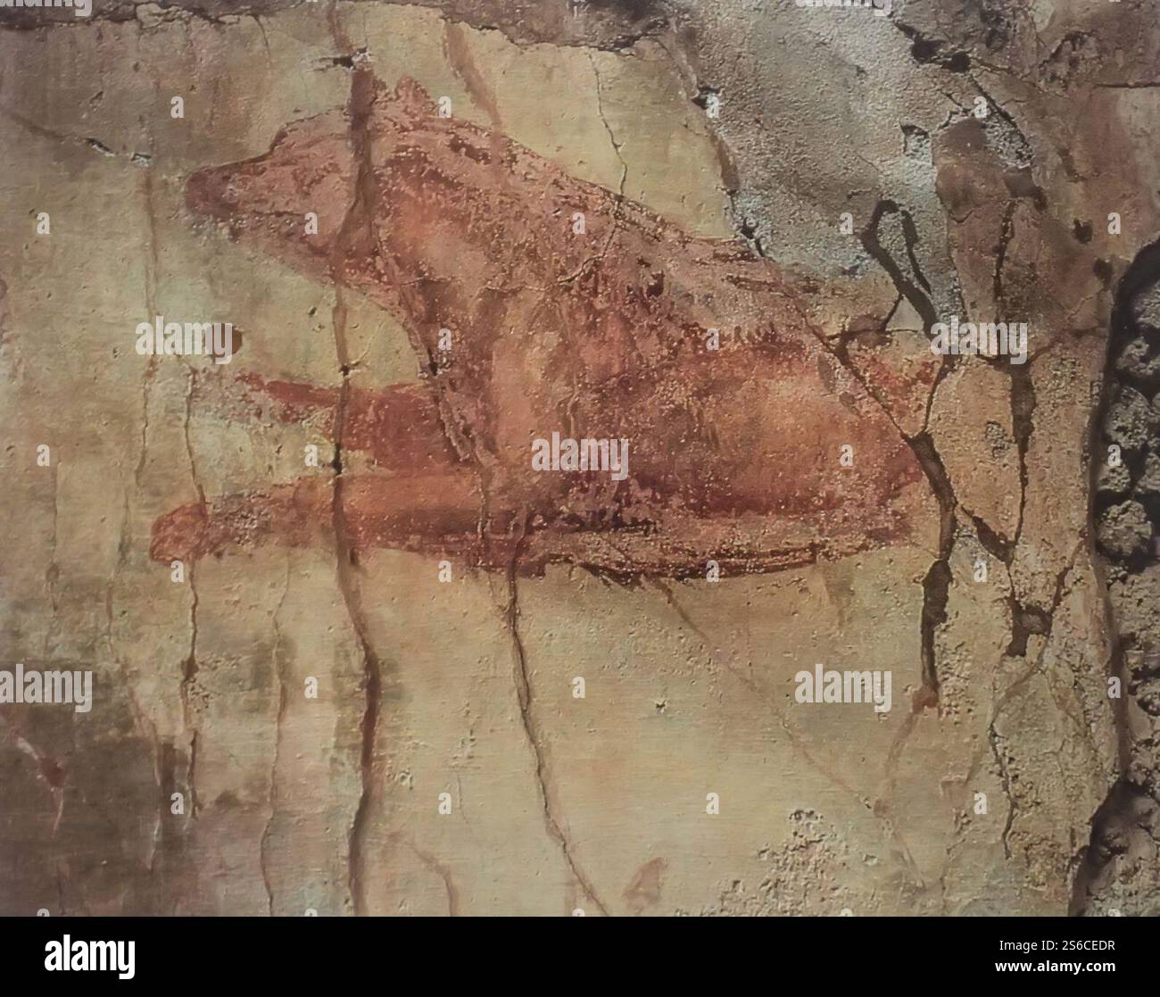 Garden m North Wall Upper Zone Hound House of the Bear Pompeii Stock ...