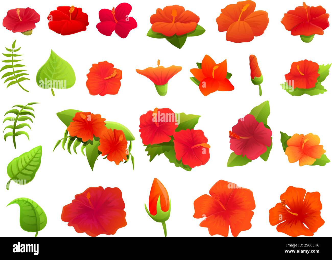 Hibiscus icons set. Cartoon set of hibiscus vector icons for web design ...