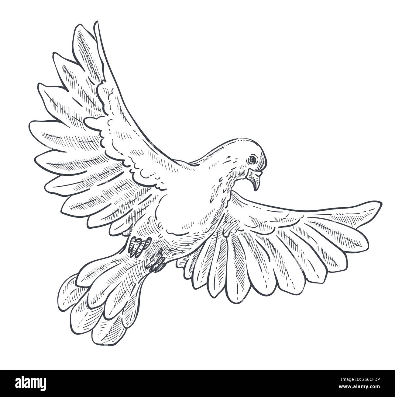 Peace mascot, dove or pigeon isolated animal sketch vector. Flying bird ...