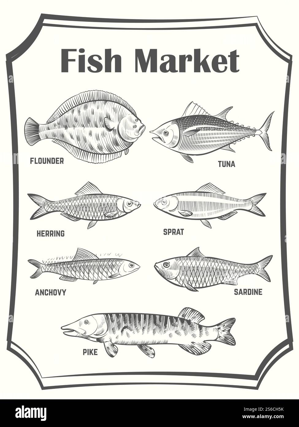 Hand sketched different fish vector poster template. Fish Market banner ...